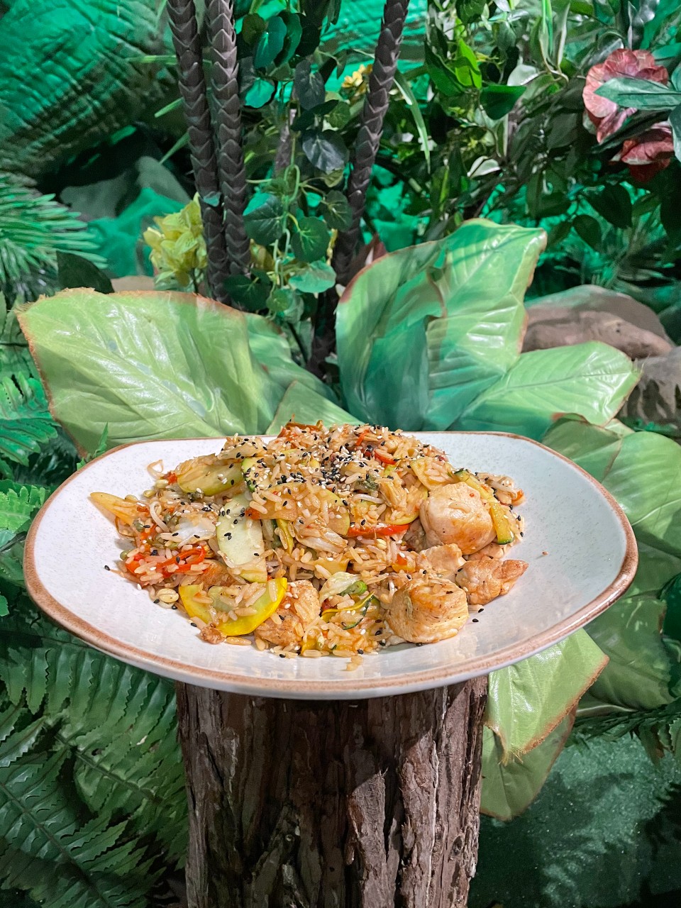 ARROZ CANTONES - Primitivo